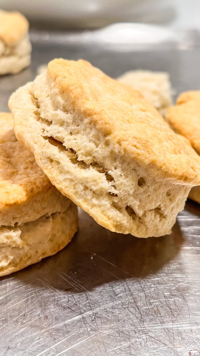 Homemade Biscuit Recipes