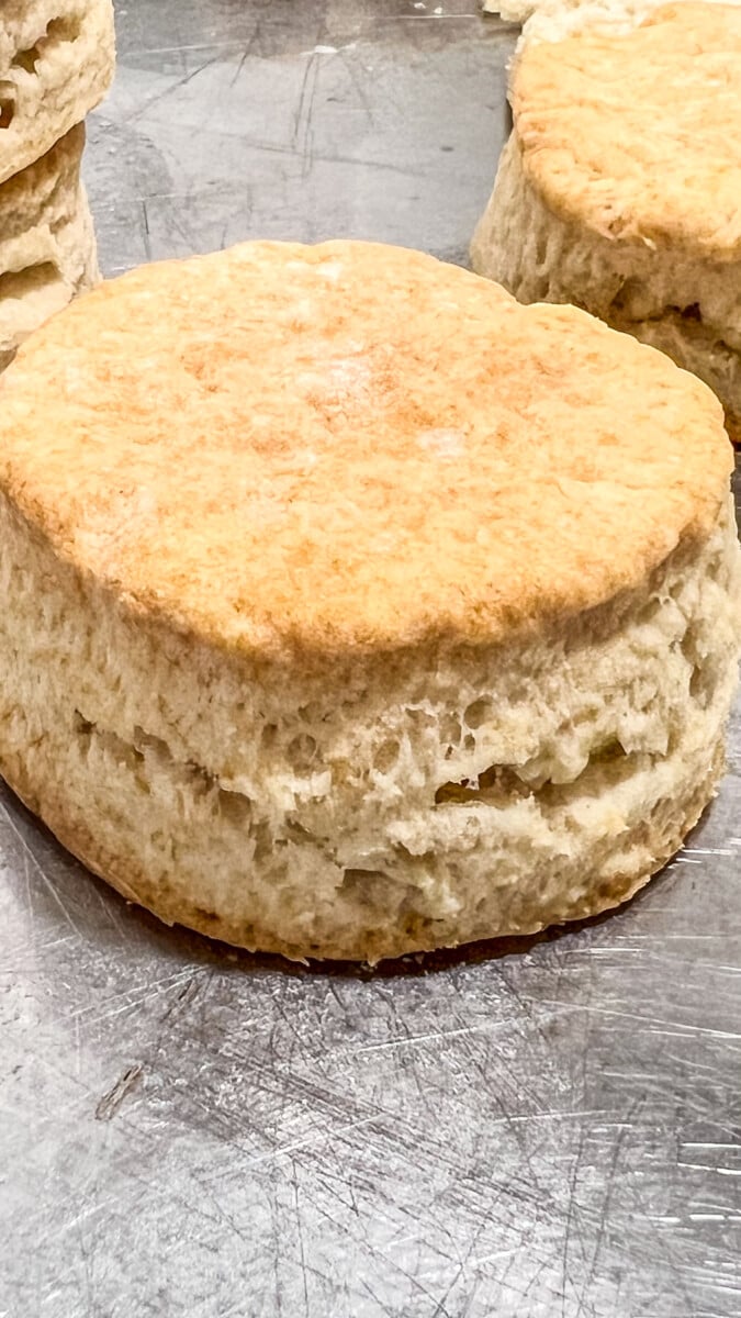 Can You Make Biscuits with Crisco? Easy Flaky Homemade Recipe