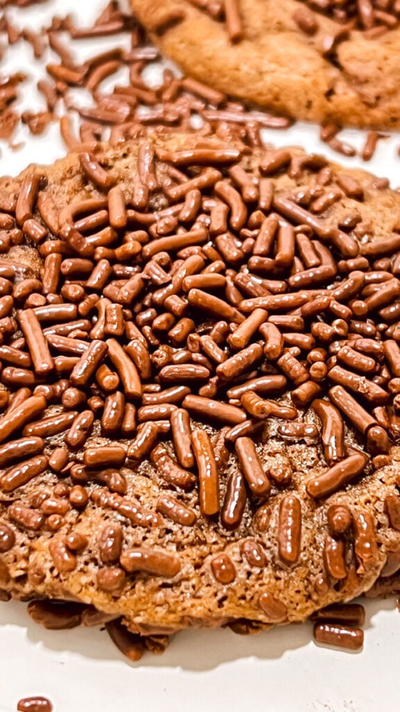 Double Chocolate Sprinkle Cookies